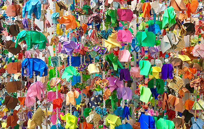 Largest display of origami elephants | Guinness World Records